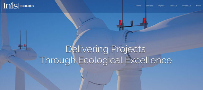 Top 30 Environmental Consulting Companies Ireland – iEVPower